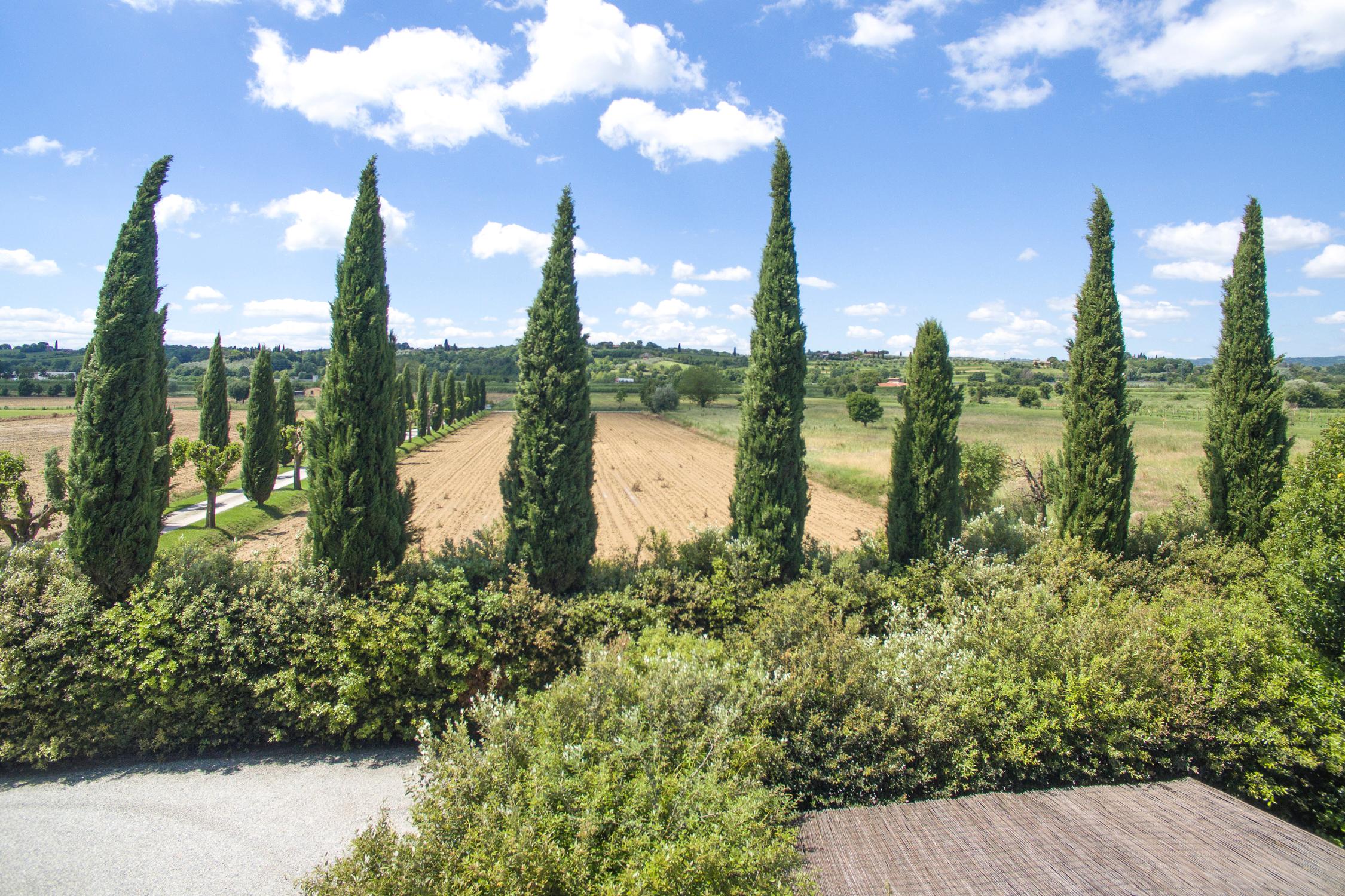 Casa Carlotta, the country house of Lodovichi farm in Tuscany