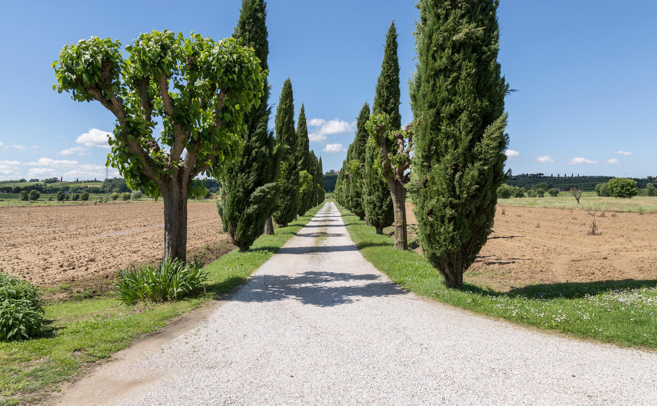 Casa Carlotta, the country house of Lodovichi farm in Tuscany